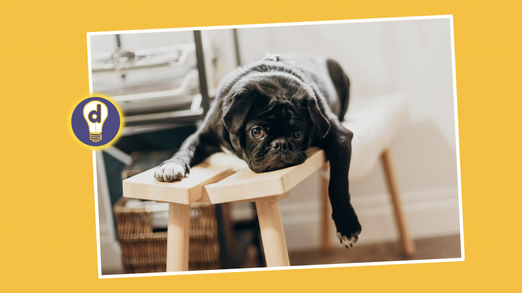 Procrastination: Understanding and Overcoming It – Ding