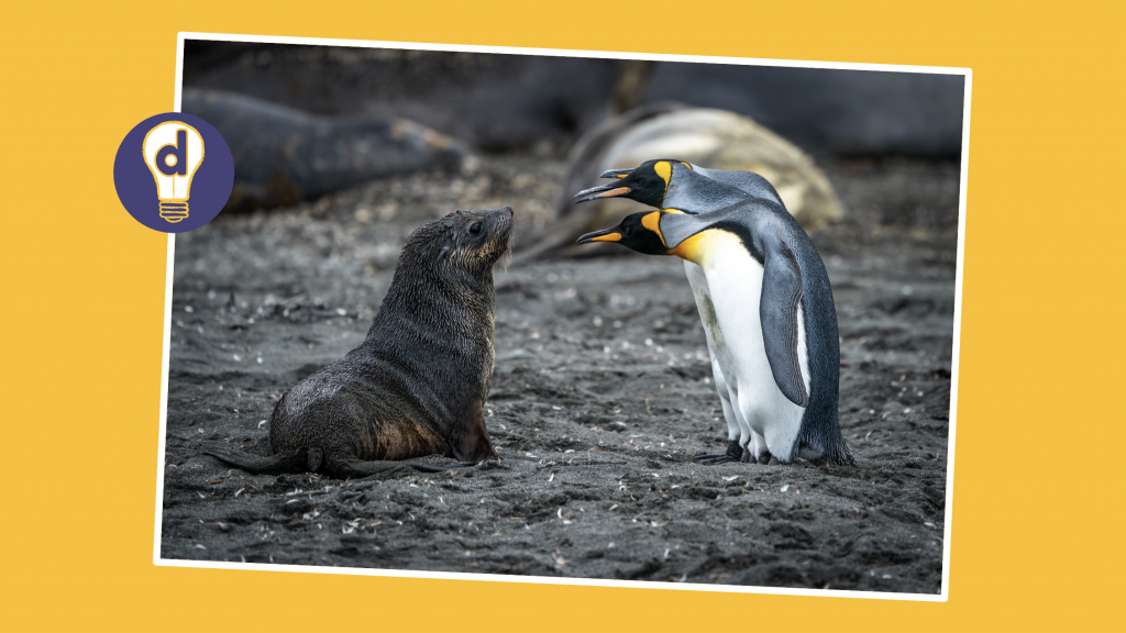 Teamwork In Learning Design The Importance Of Teaching It Ding