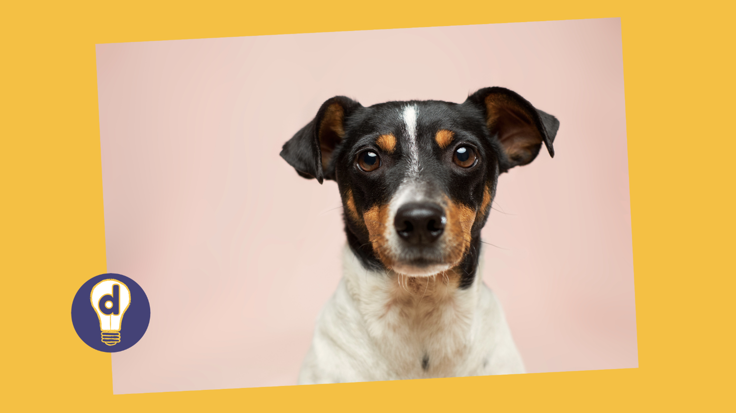 Attentiveness and Accountability in Learning Design – Ding