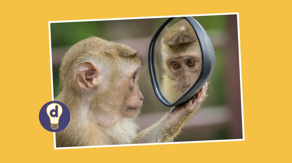 Positionality: who are you, and how does it influence your learning ...